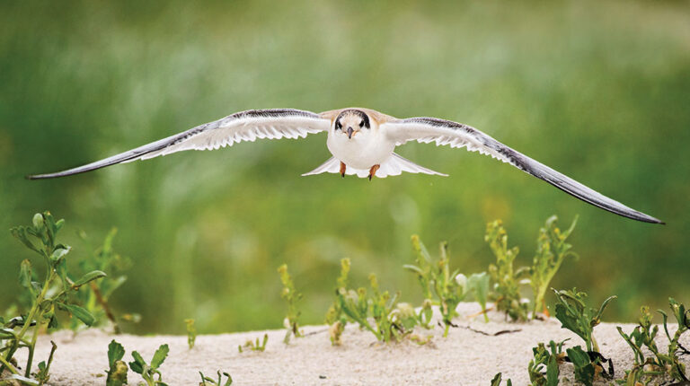 Login – AMG National Trust